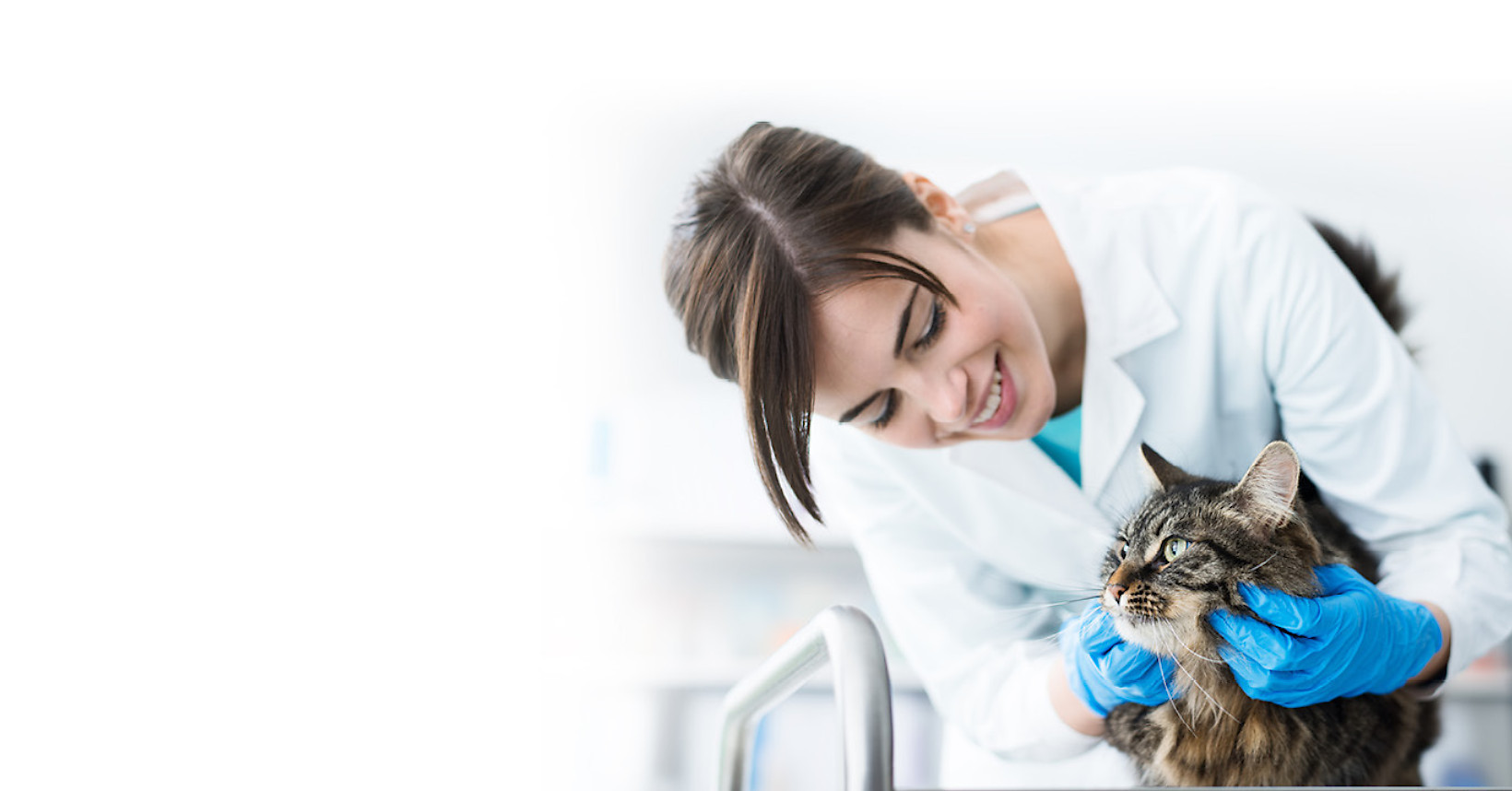 BD Rowa - medication robots for dispensing doctors